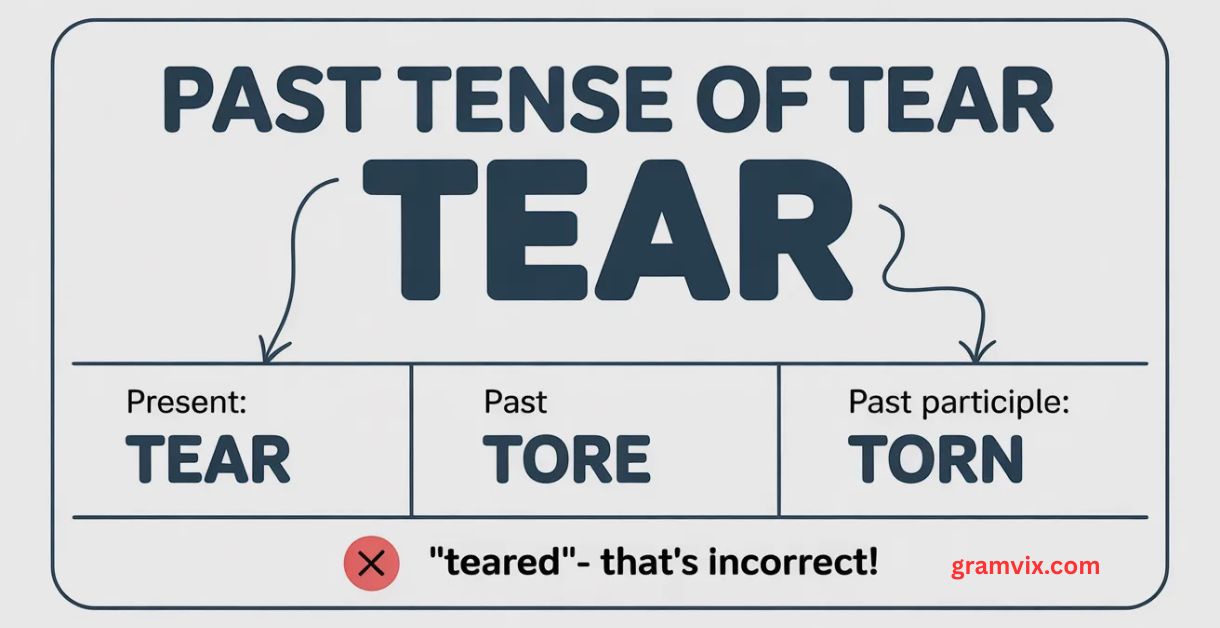 What’s the Past Tense of Tear? Is It Tore, Teared, or Torn? - Gramvix